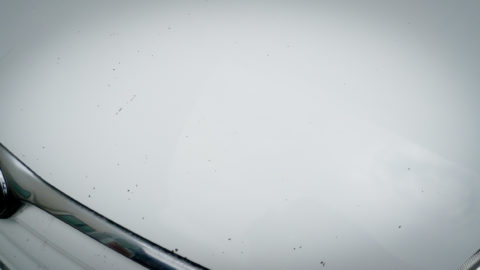 Christchurch City Detailing & Grooming Service | Ultra Detailing